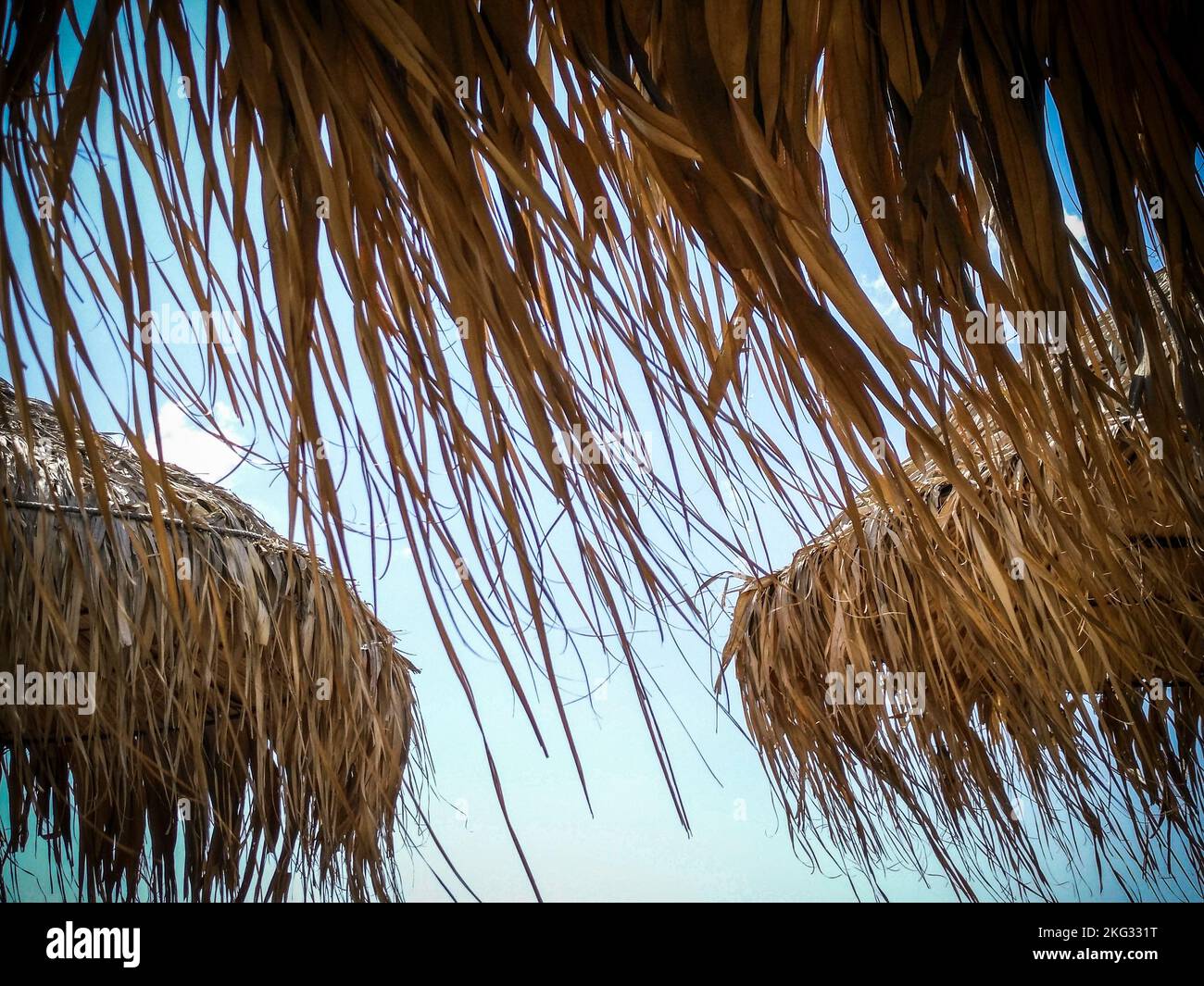 Three straw parasols on a beach viewed from below Stock Photo - Alamy