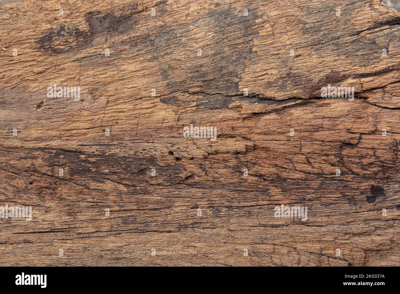 Old plank wood texture background Stock Photo - Alamy