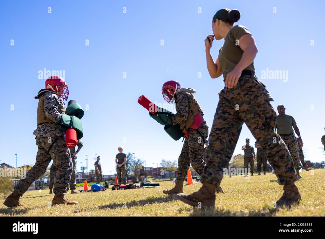 U.S. Marines with Headquarters Battalion, Marine Force Reserve, take part in a pugil stick ...
