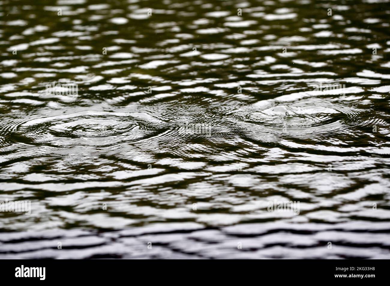 Water surface with raindrops at rainy day. Monsoon and rainy season ...