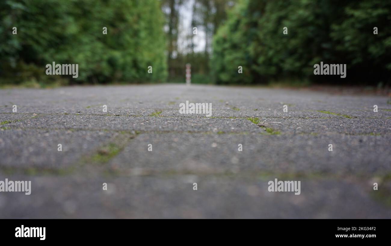 A street end, Makro and natural Stock Photo - Alamy