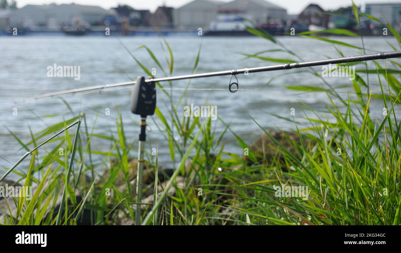 Natural fishing hi-res stock photography and images - Alamy