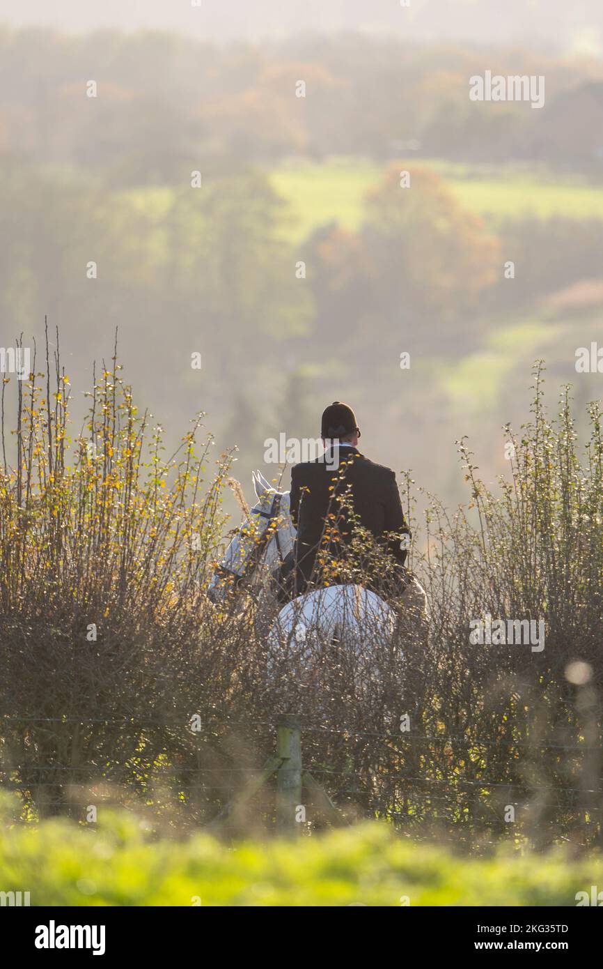 Fox hunting hi-res stock photography and images - Alamy