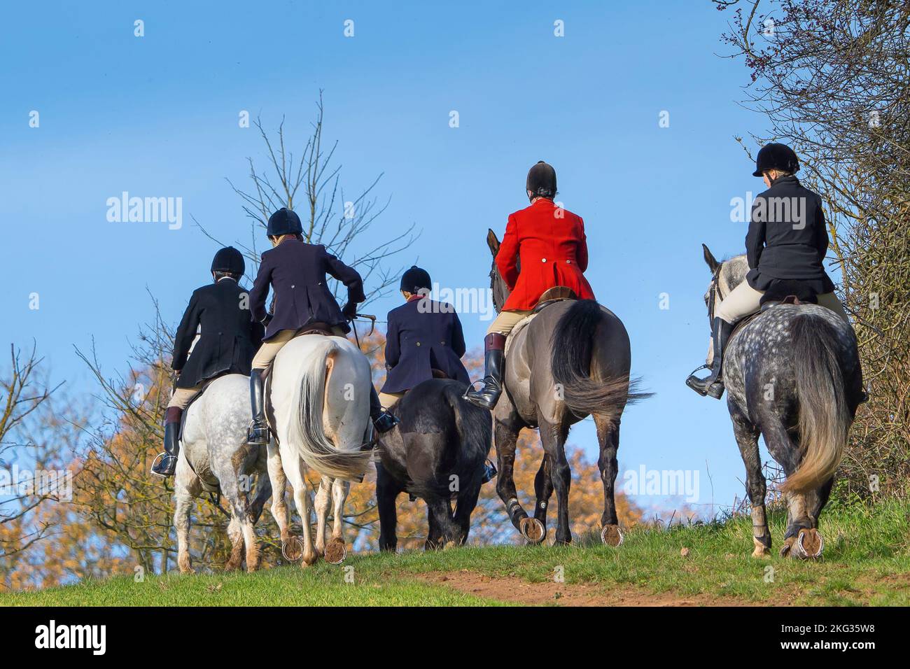 UK fox hunting with riders on horseback in countryside Stock Photo - Alamy