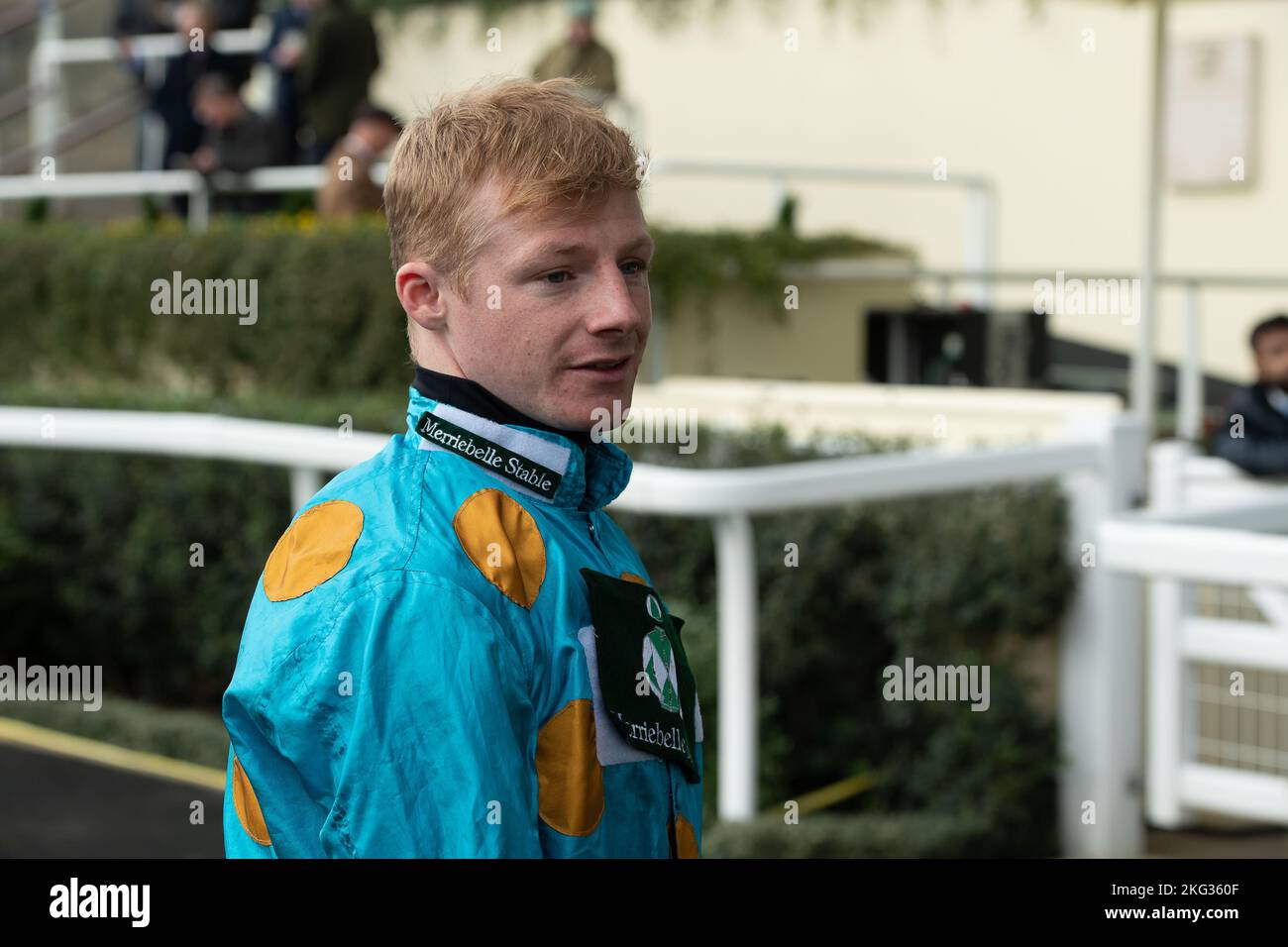 The mariner systems mares handicap hurdle race hi-res stock photography ...