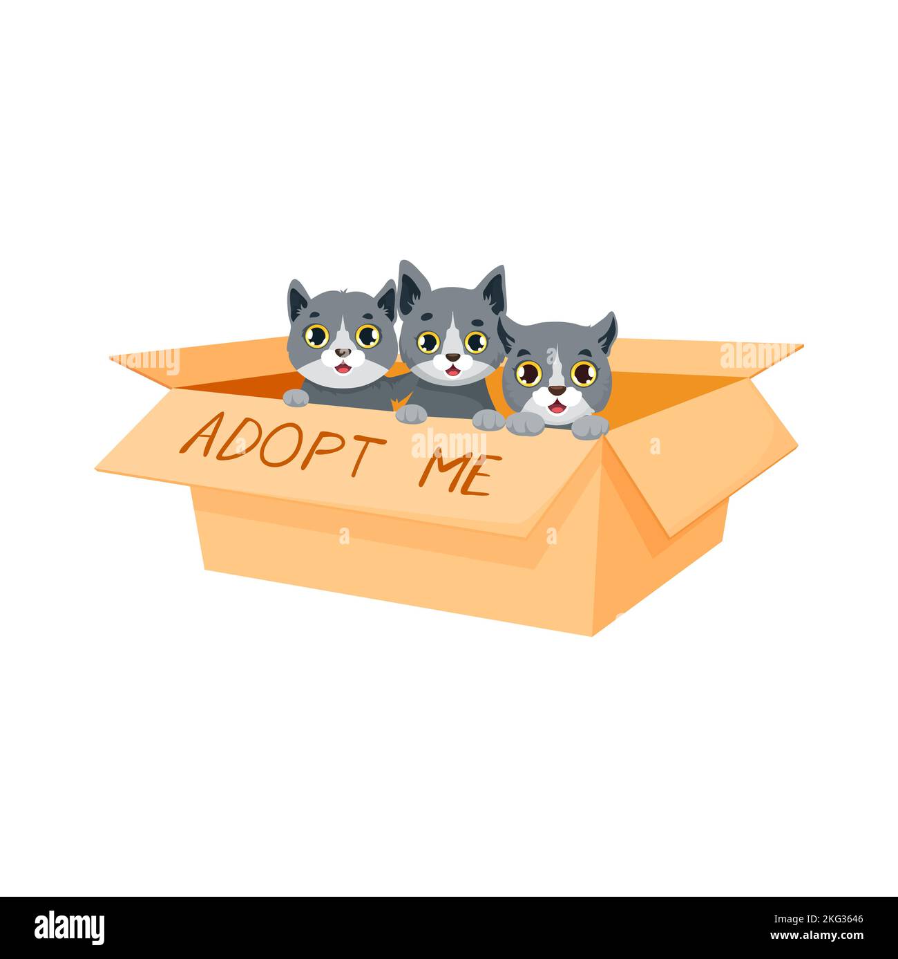 Cat in abandoned house in Cut Out Stock Images & Pictures - Alamy