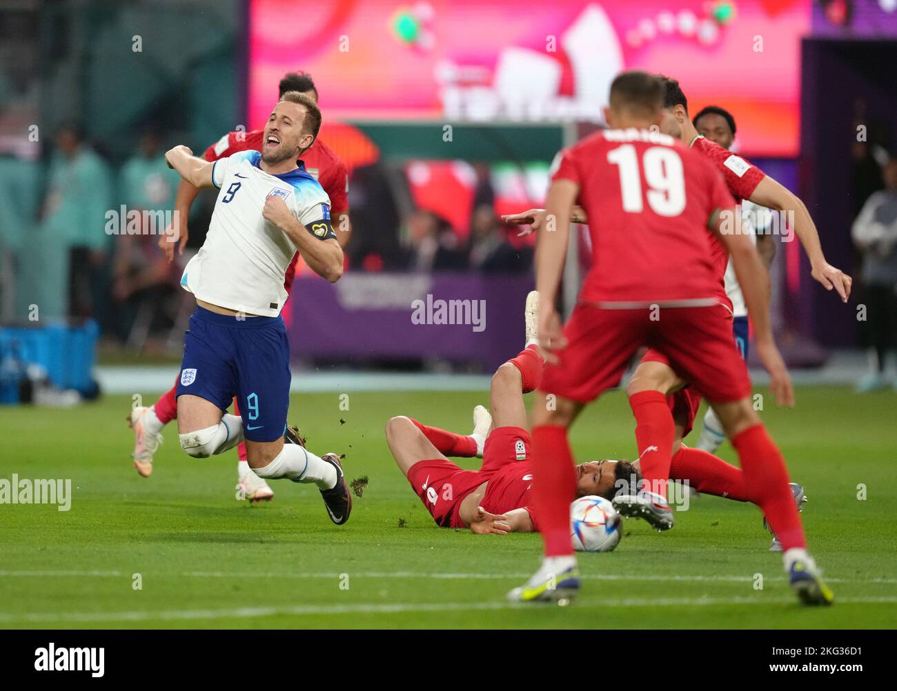 England's Harry Kane is fouled during the FIFA World Cup Group B match ...