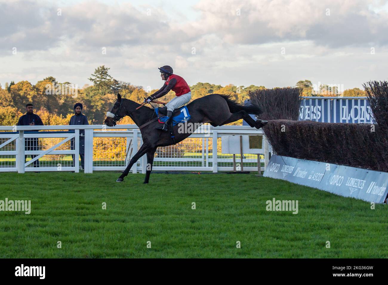 Ascot, Berkshire, UK. 19th November, 2022. Horse Saint Calvados ridden ...