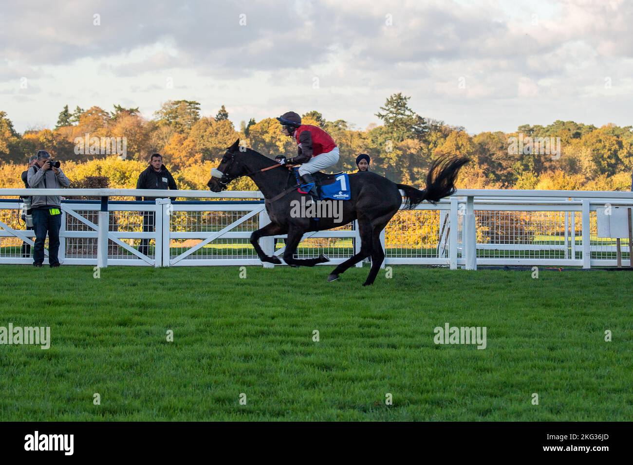Ascot, Berkshire, UK. 19th November, 2022. Horse Saint Calvados ridden ...