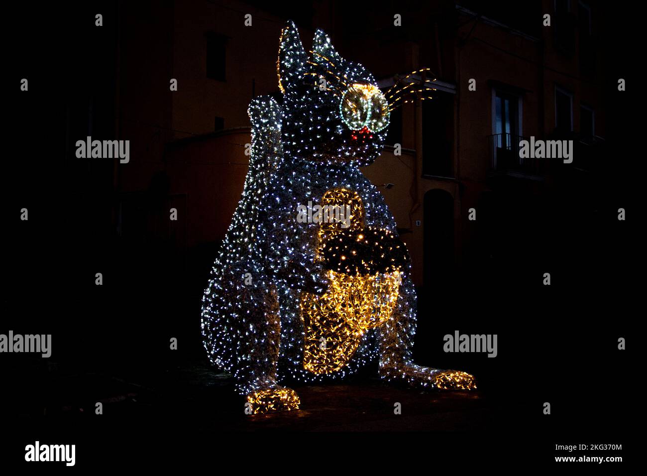 Christmas lights in the shape of a squirrel, during the Christmas event called "fairy tales of ...