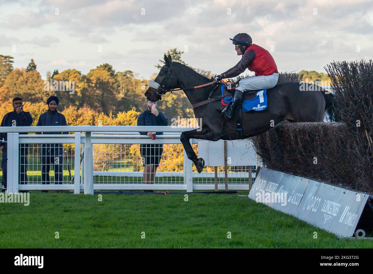 David maxwell hi-res stock photography and images - Alamy