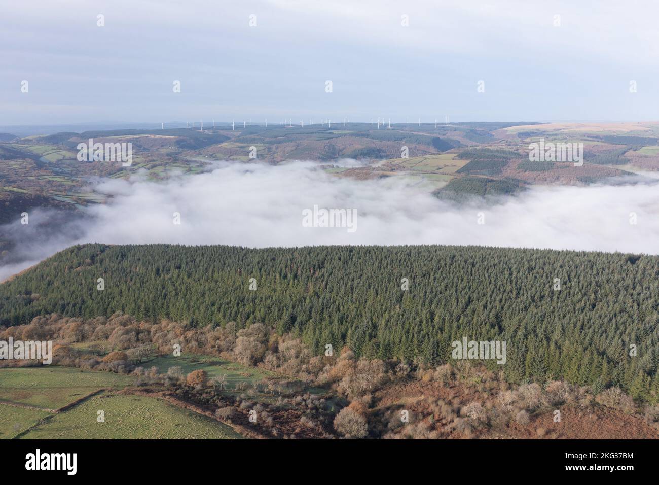 Aerial view of Sitka spruce conifer forestry and temperature inversion ...