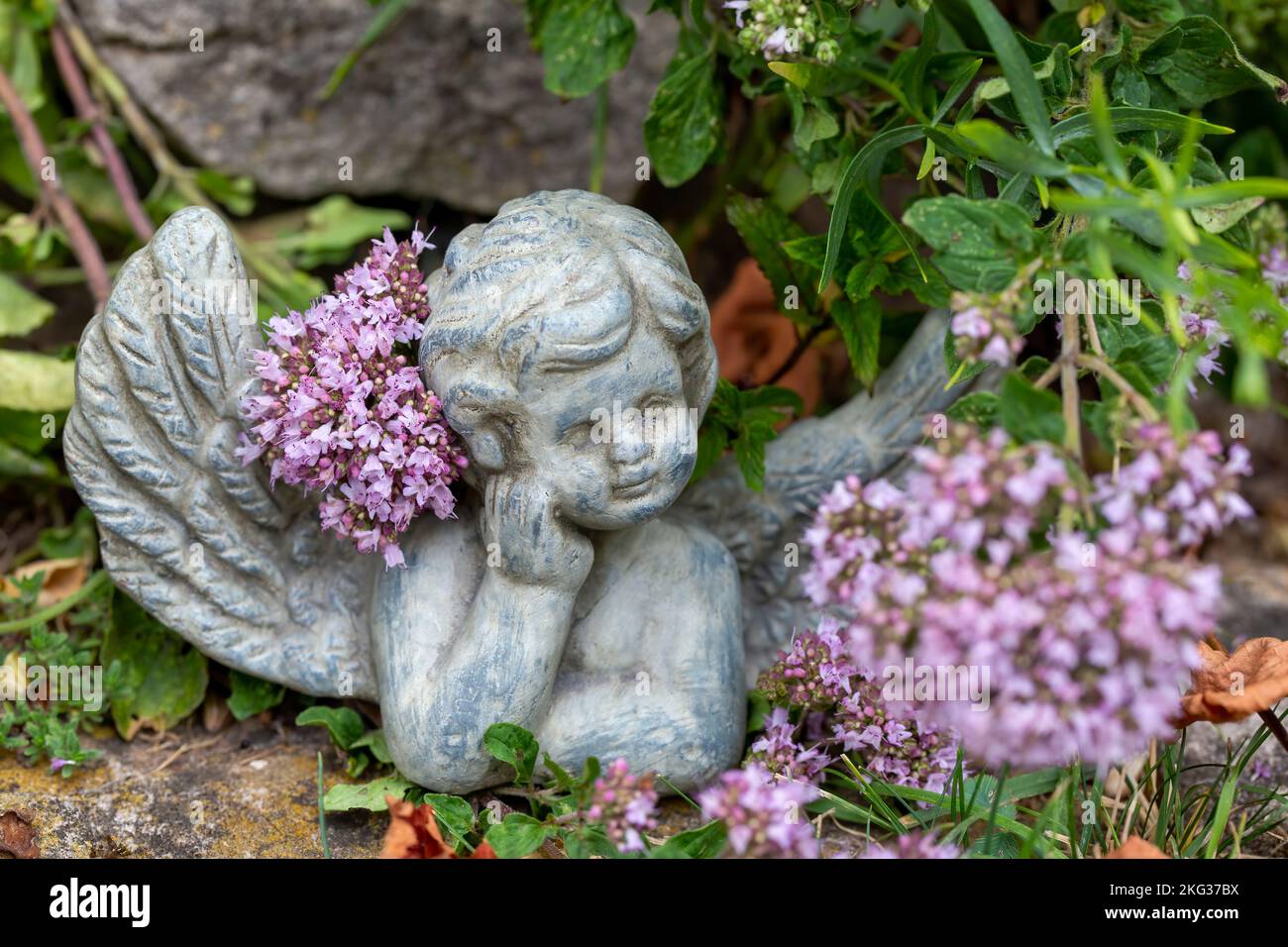 Cute little angel in hi-res stock photography and images - Alamy