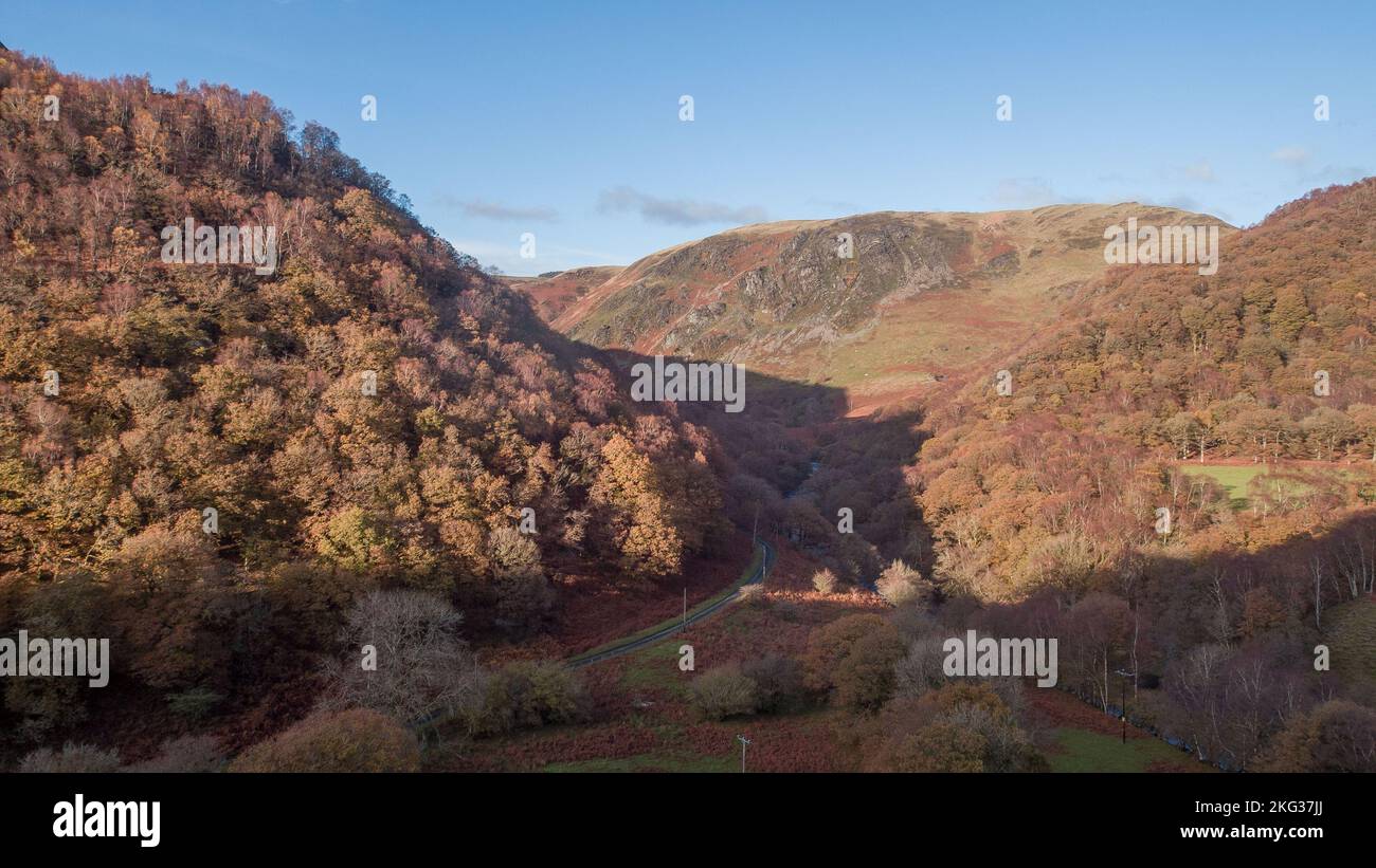 Aerial view of the upper Towy Valley in autumn colours at Gwenffrwd ...