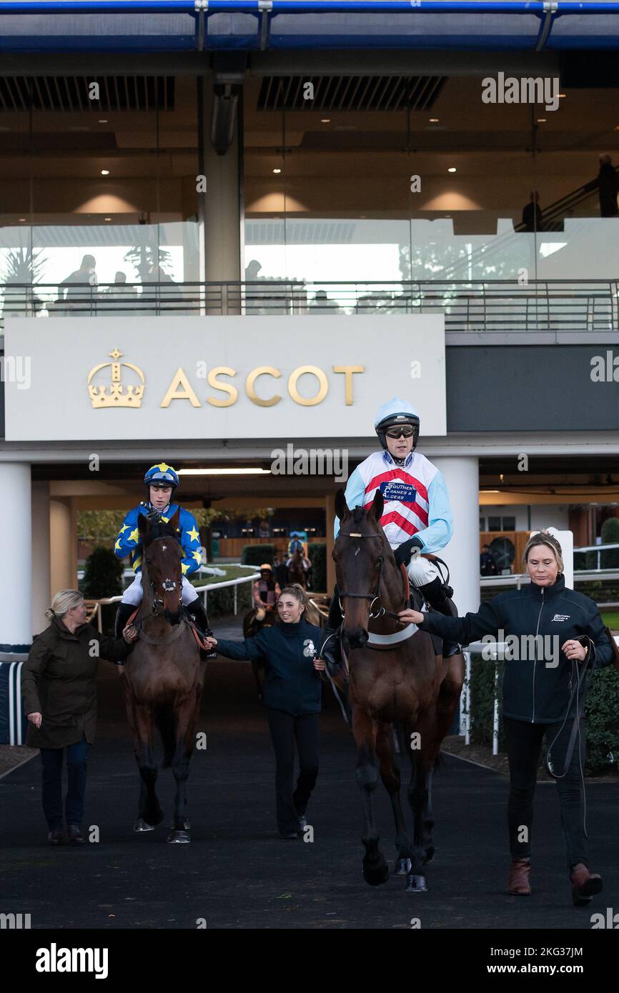 Endersen hi-res stock photography and images - Alamy