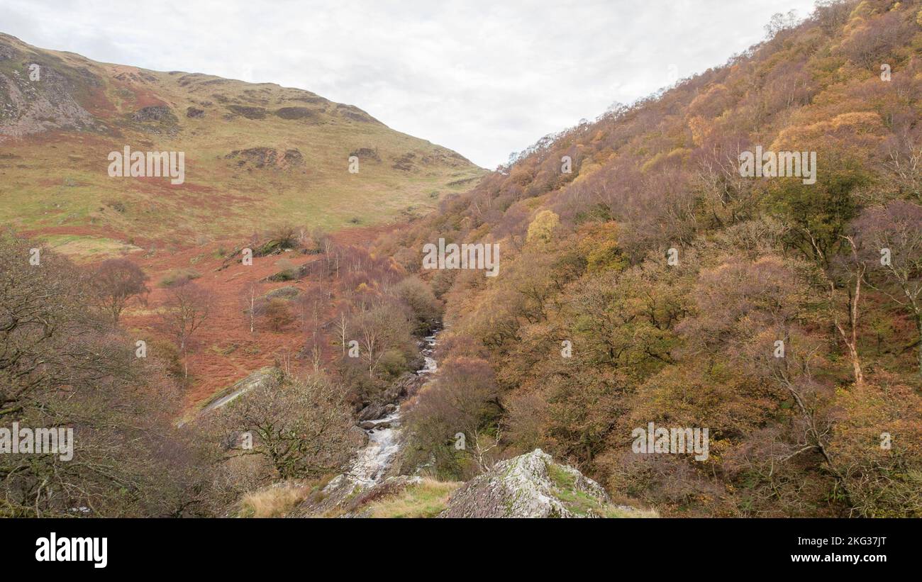 Aerial view of the River Towy cascade at Gwenffrwd Dinas RSPB Nature ...