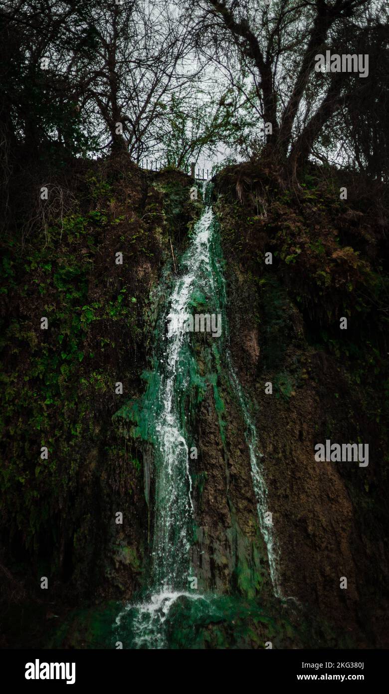 A scenic vertical view of a water flowing down a mossy rock in an ...