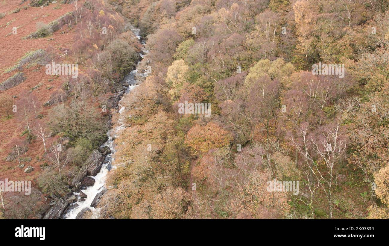 Aerial view of the River Towy cascade at Gwenffrwd Dinas RSPB Nature ...