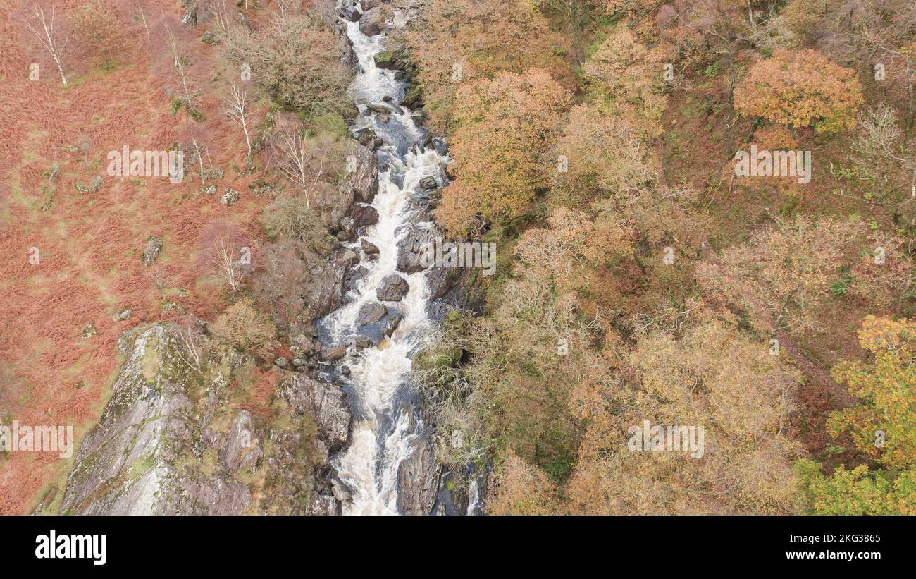 Aerial view of the River Towy cascade at Gwenffrwd Dinas RSPB Nature ...