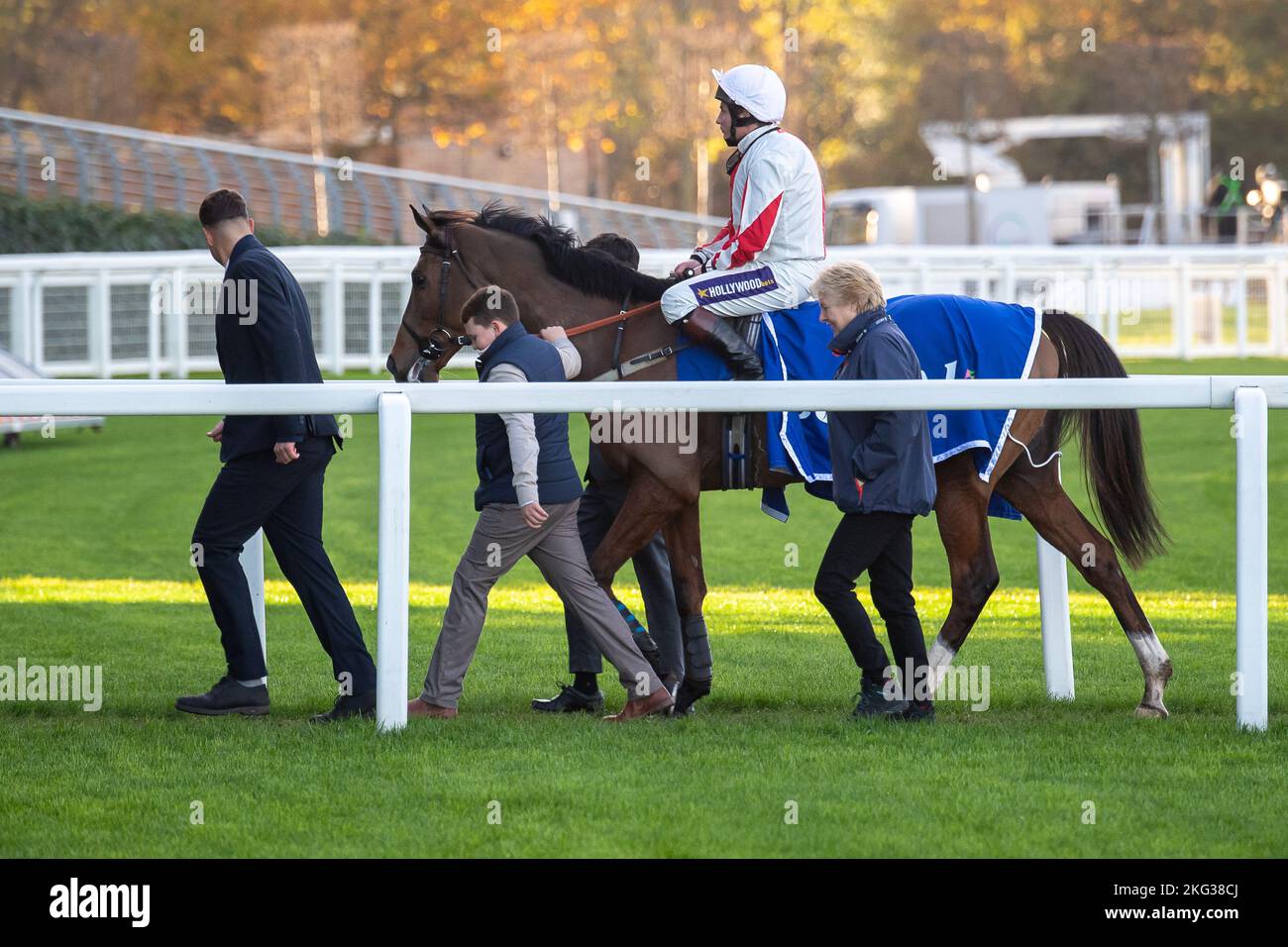 Ascot, Berkshire, UK. 19th November, 2022. Horse Goshen ridden by ...