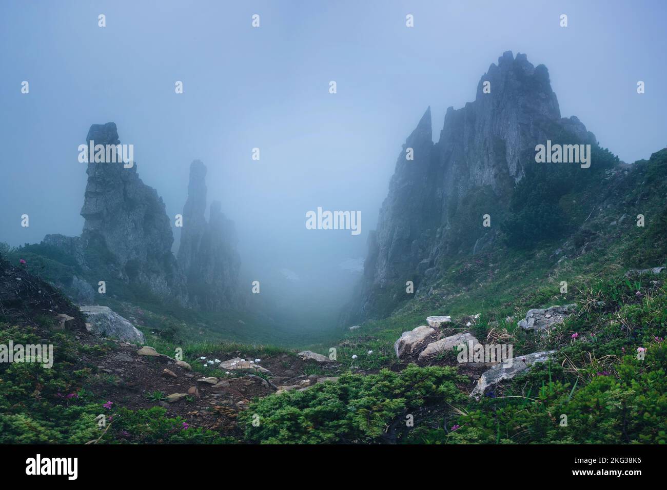 Dark mountain landscape with big mysterious rocks covered by fog Stock ...