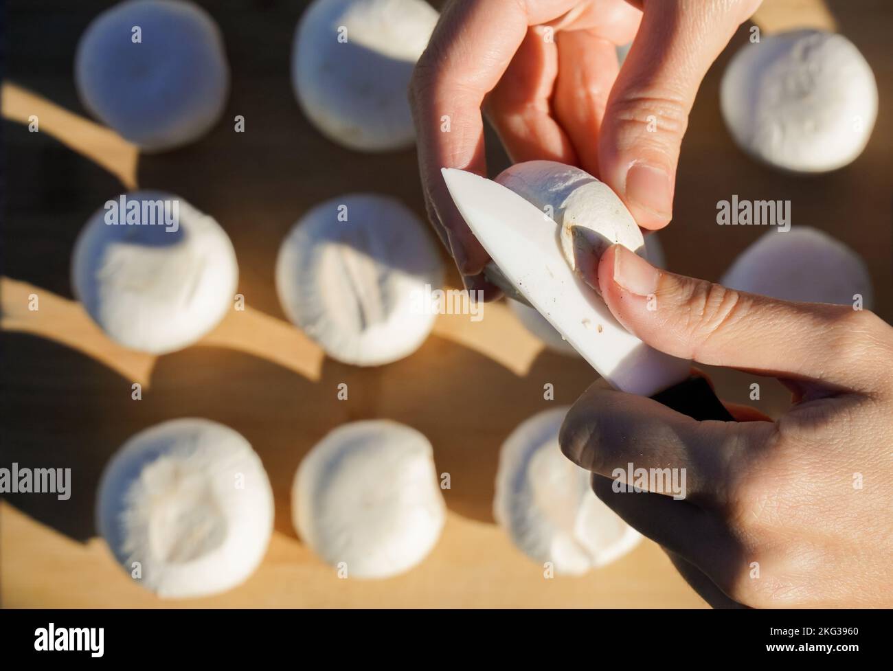 cutting a mushroom over some neat mushrooms Stock Photo - Alamy