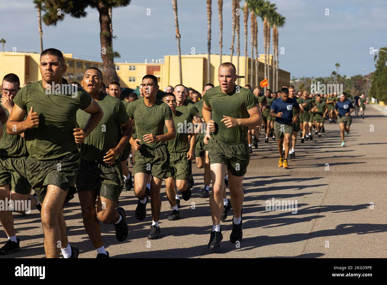 New U.S. Marines with India Company, 3rd Recruit Training Battalion ...