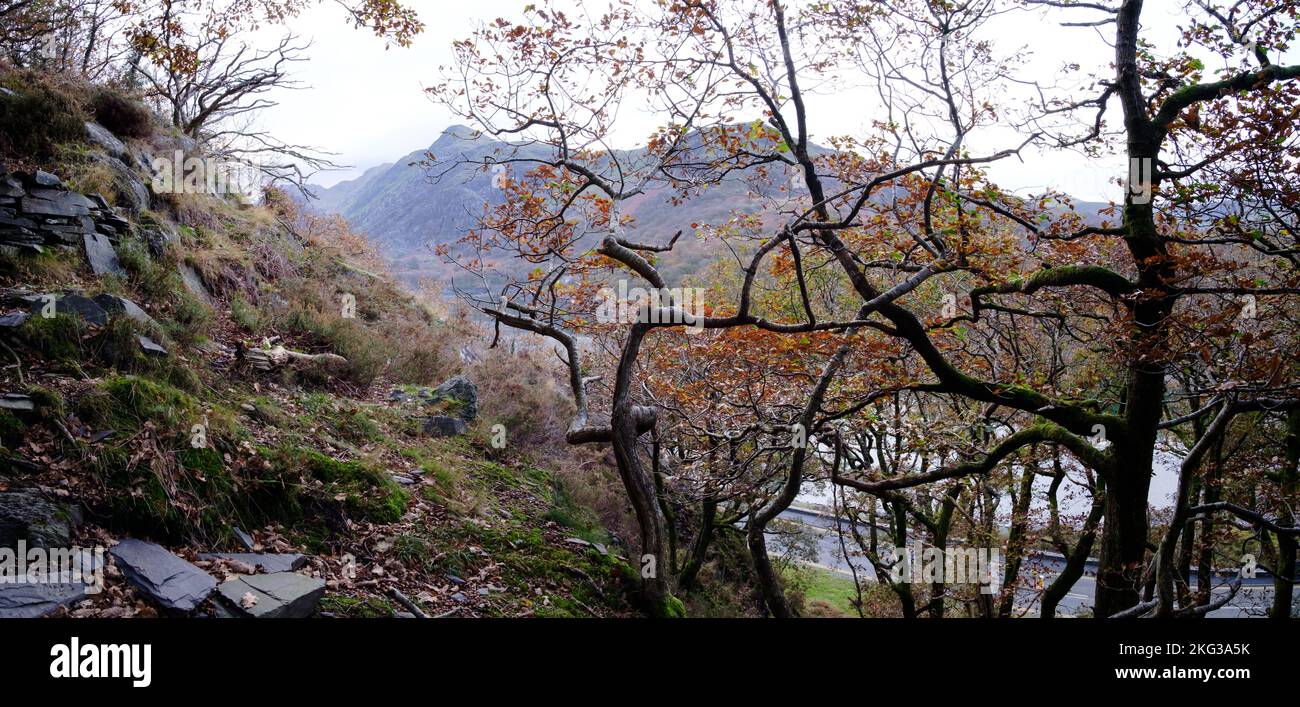 An Autumn walk around Dinorwic slate quarry in Llanberis, Snowdonia ...
