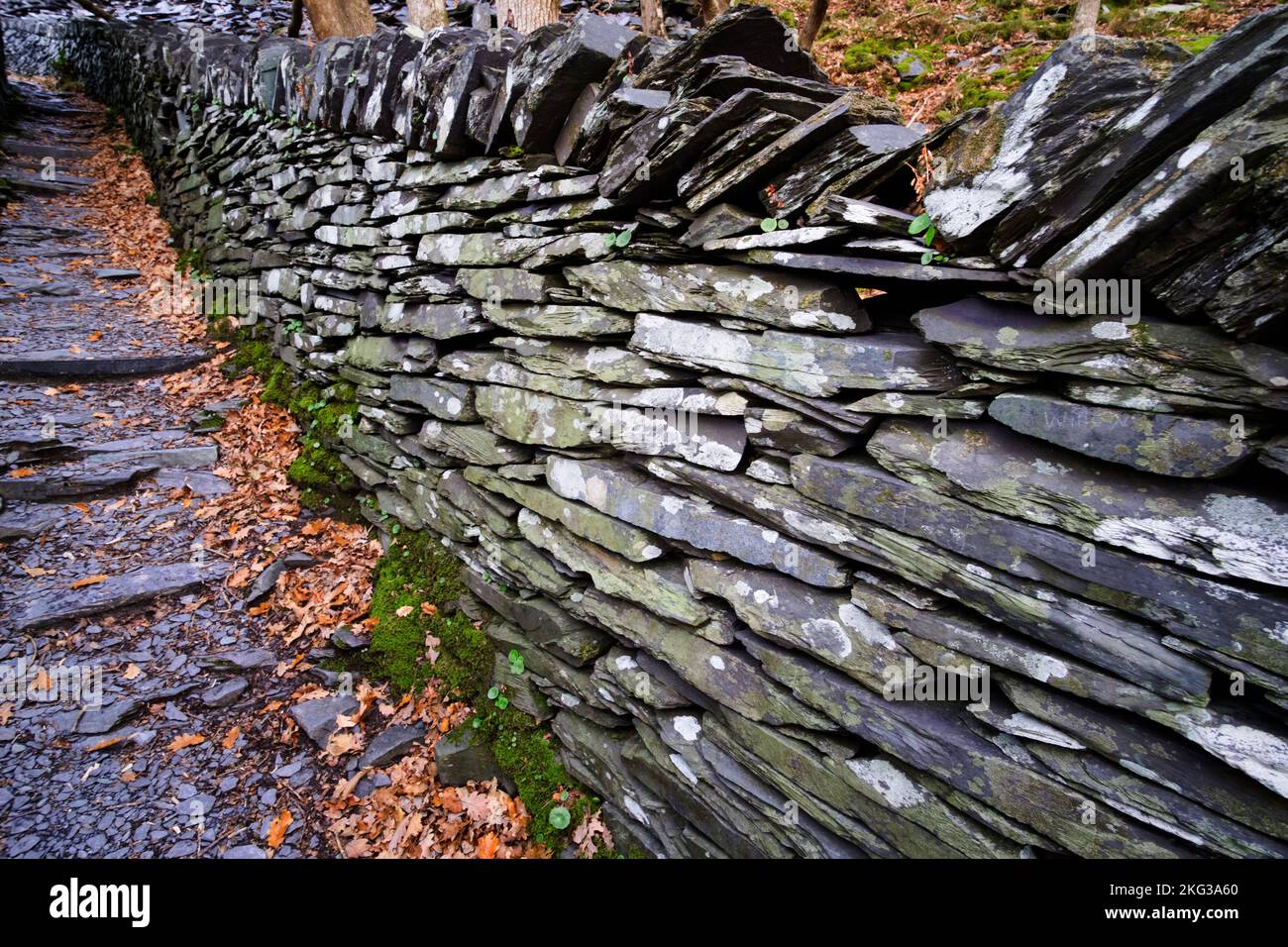 An Autumn walk around Dinorwic slate quarry in Llanberis, Snowdonia ...