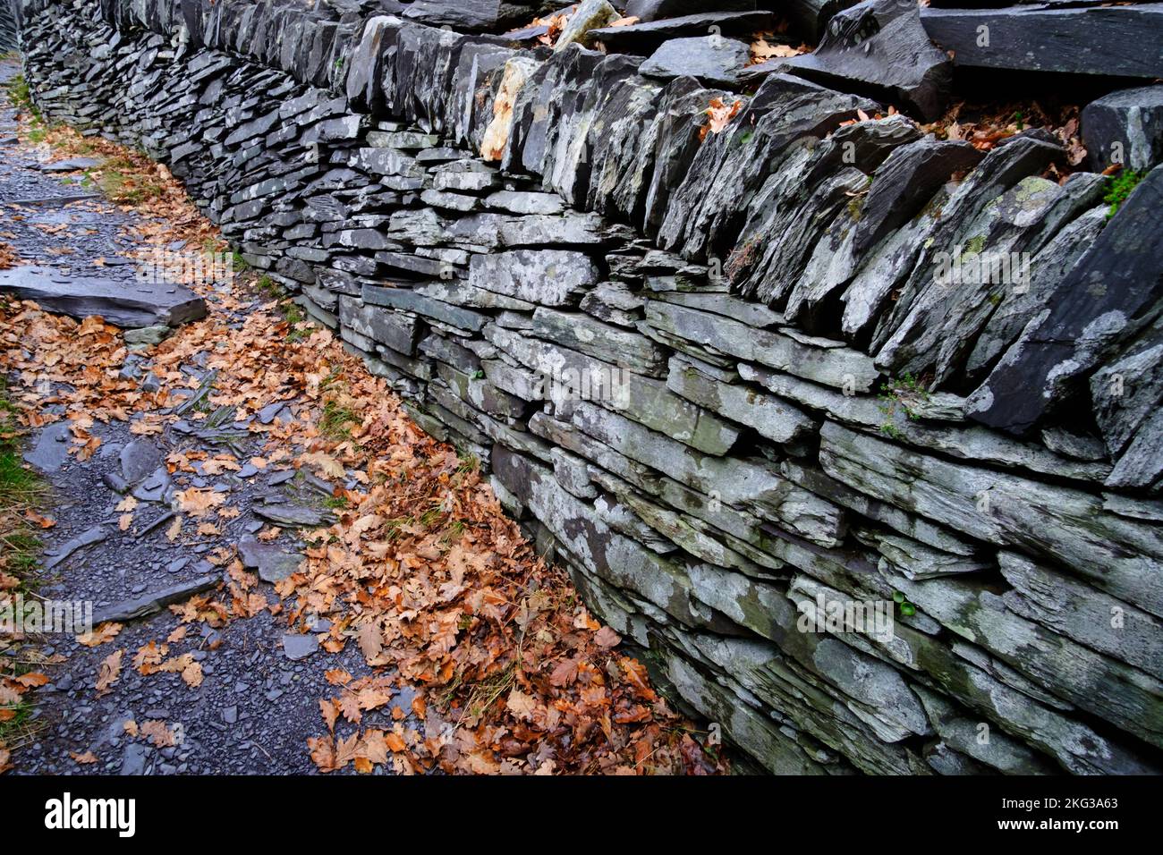 An Autumn walk around Dinorwic slate quarry in Llanberis, Snowdonia ...