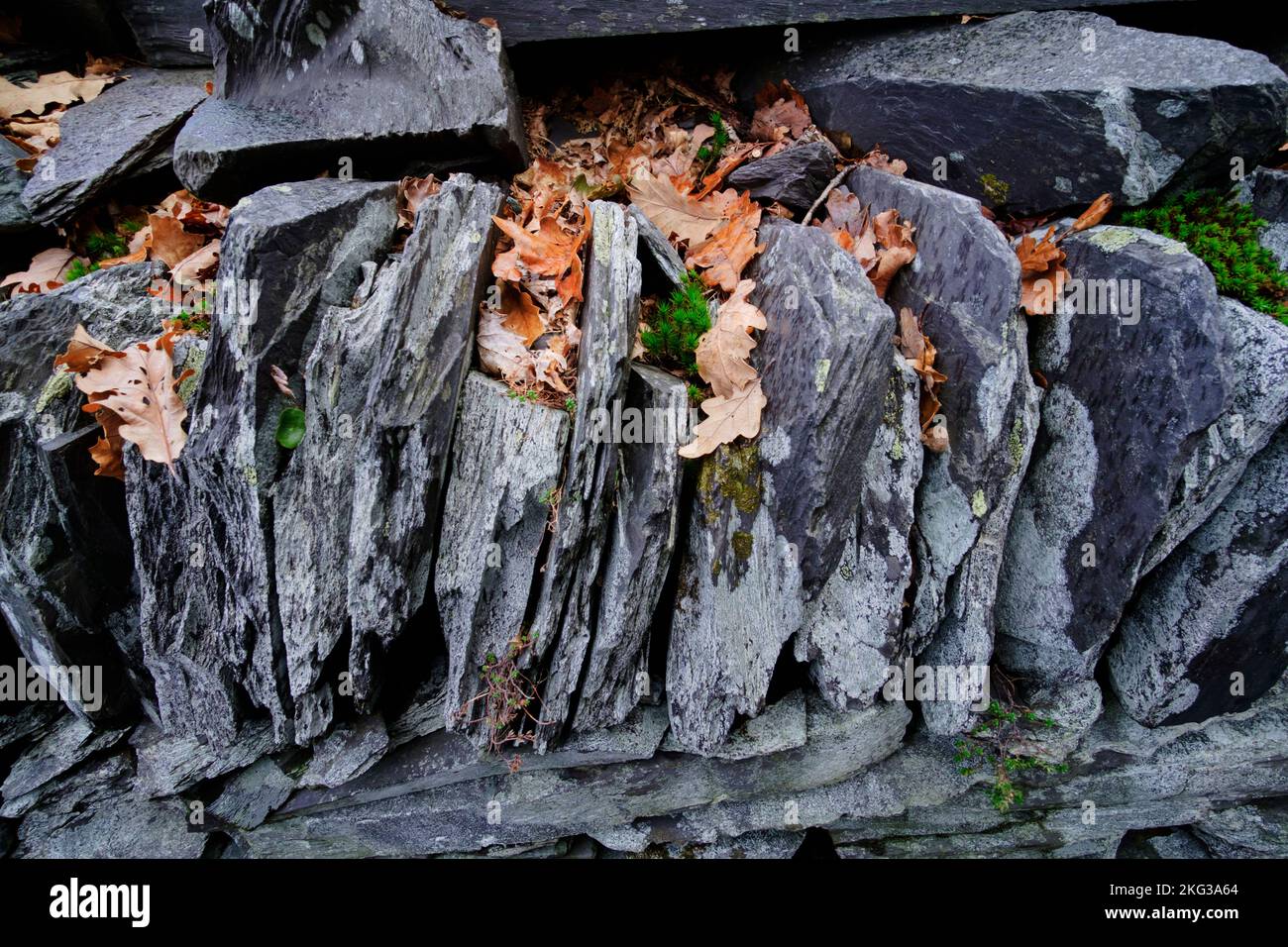 An Autumn walk around Dinorwic slate quarry in Llanberis, Snowdonia ...
