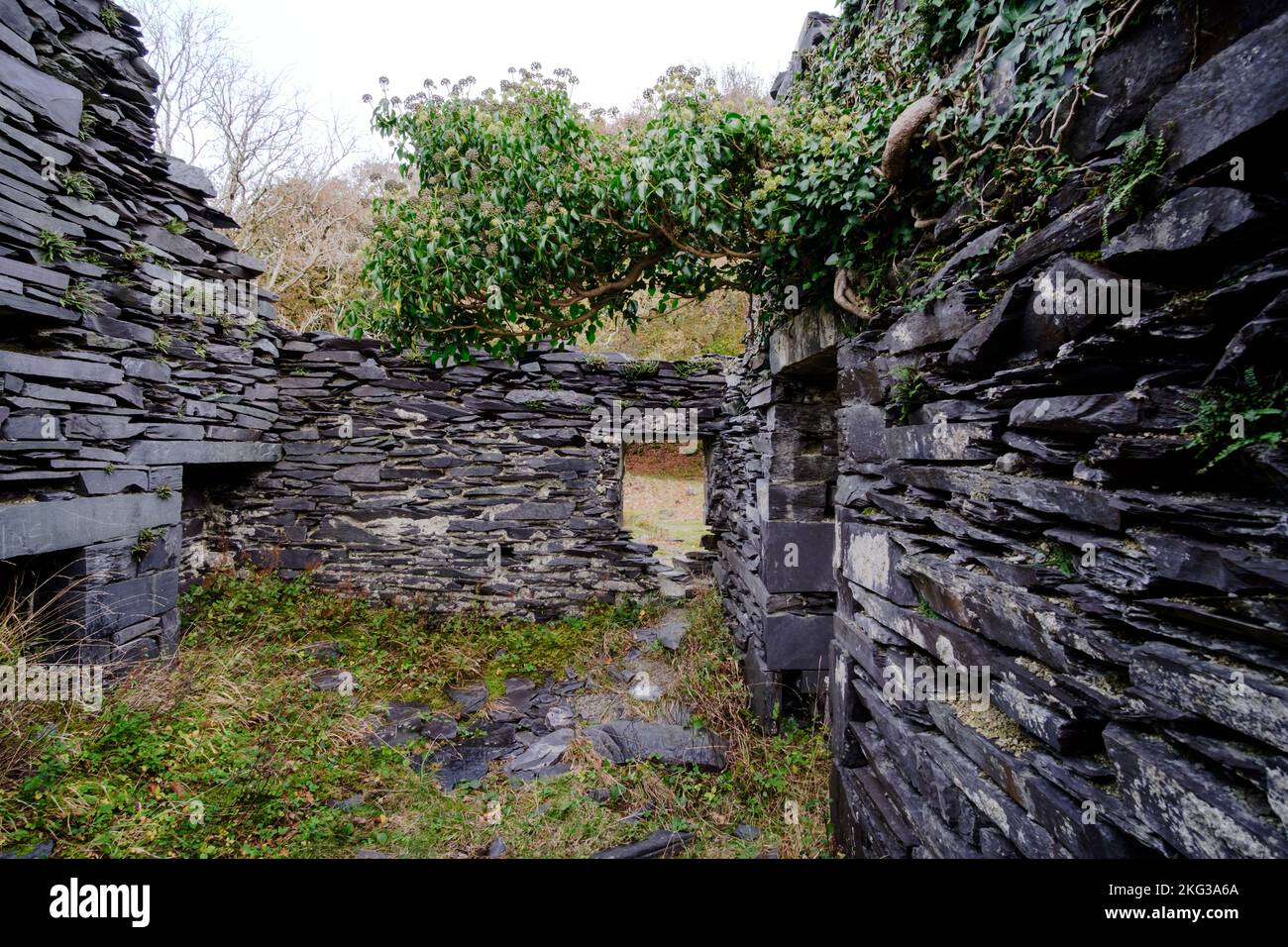 An Autumn walk around Dinorwic slate quarry in Llanberis, Snowdonia ...