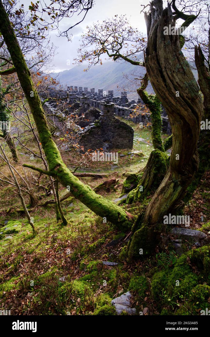 An Autumn walk around Dinorwic slate quarry in Llanberis, Snowdonia ...