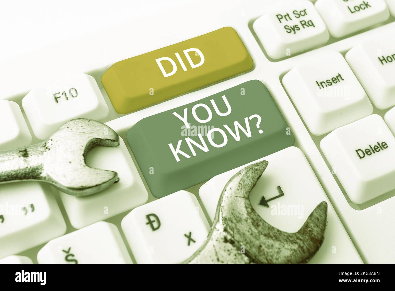 Conceptual caption Did You Know. Internet Concept Fun Facts and Figures ...