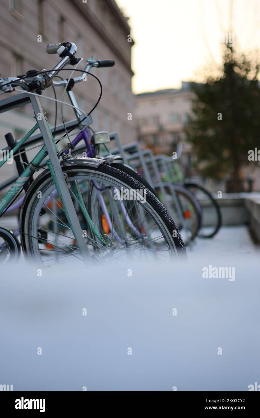 A vertical low-angle of a line of bicycles outdoors buildings and ...