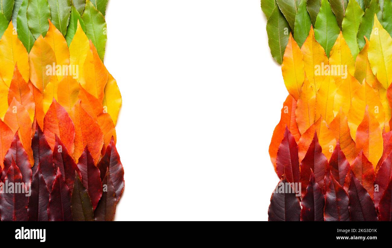 Colorful autumn leaves gradient border, fall foliage frame isolated on ...