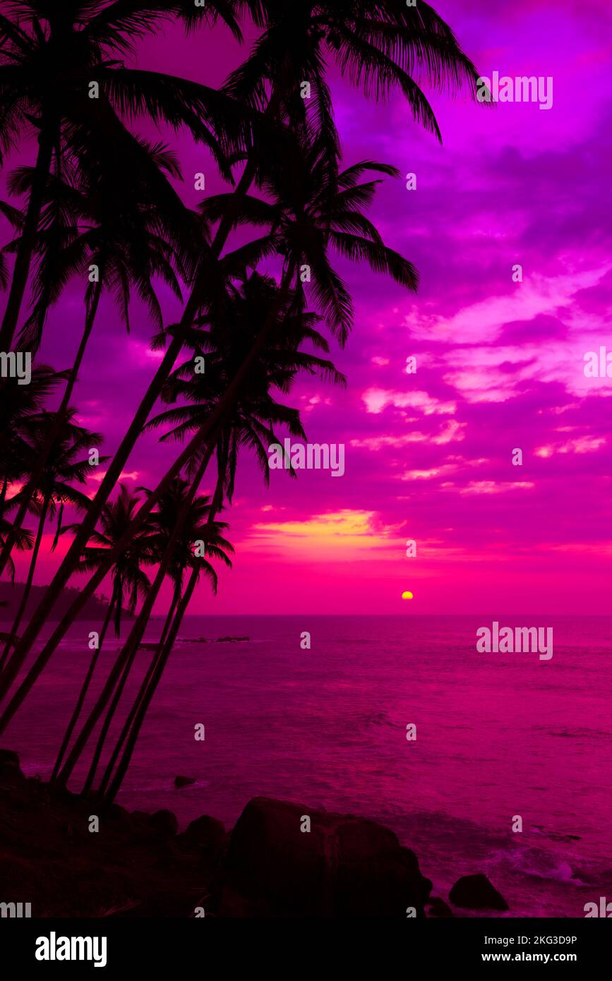 Vivid pink sunset on tropical beach with coconut palm trees silhouettes ...