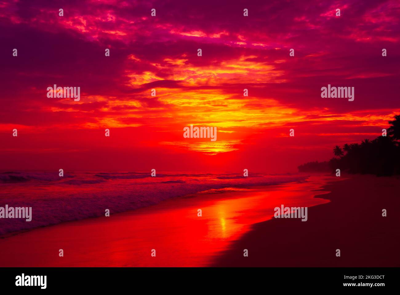 Colorful tropical sunset on empty ocean beach with palm tress Stock ...