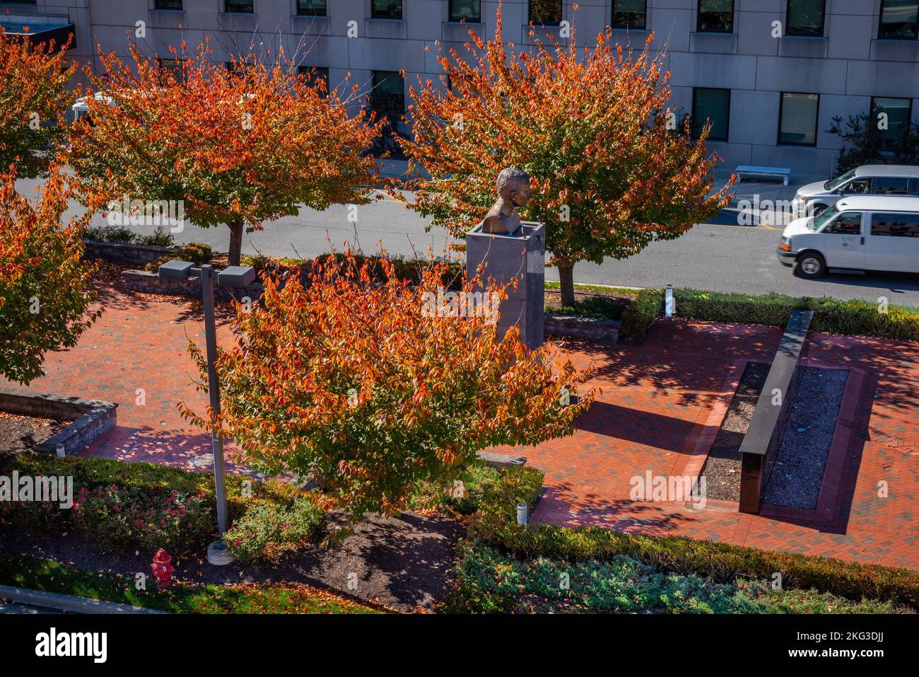 Fall foliage photos taken around Walter Reed National Military Medical ...