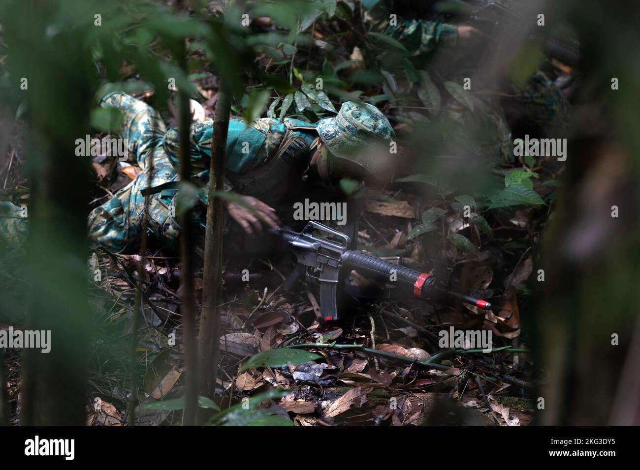 A Royal Brunei Land Force (RBLF) soldier with 2nd Battalion, RBLF ...