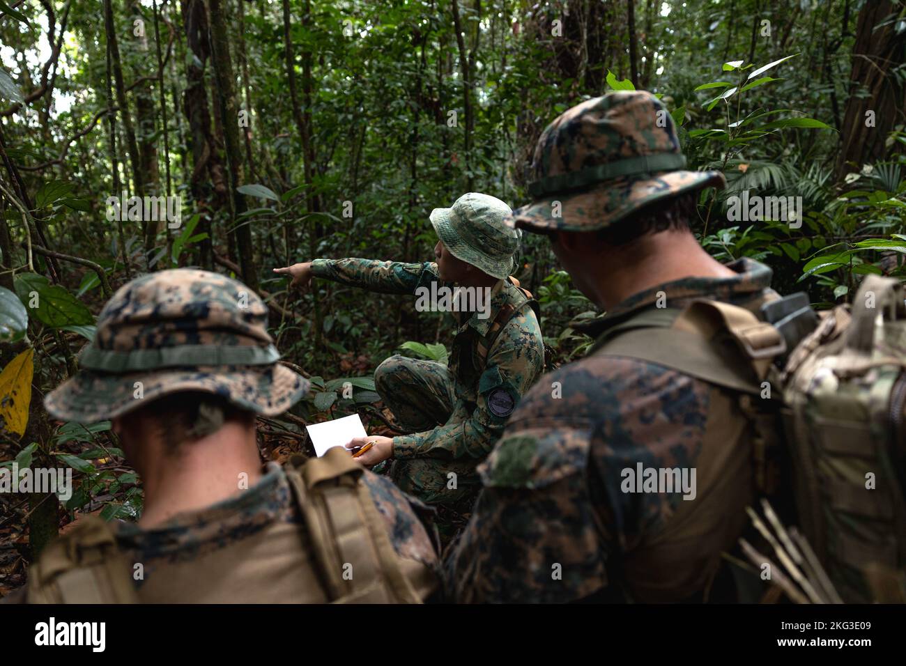 A Royal Brunei Land Force (RBLF) soldier with 2nd Battalion, RBLF ...