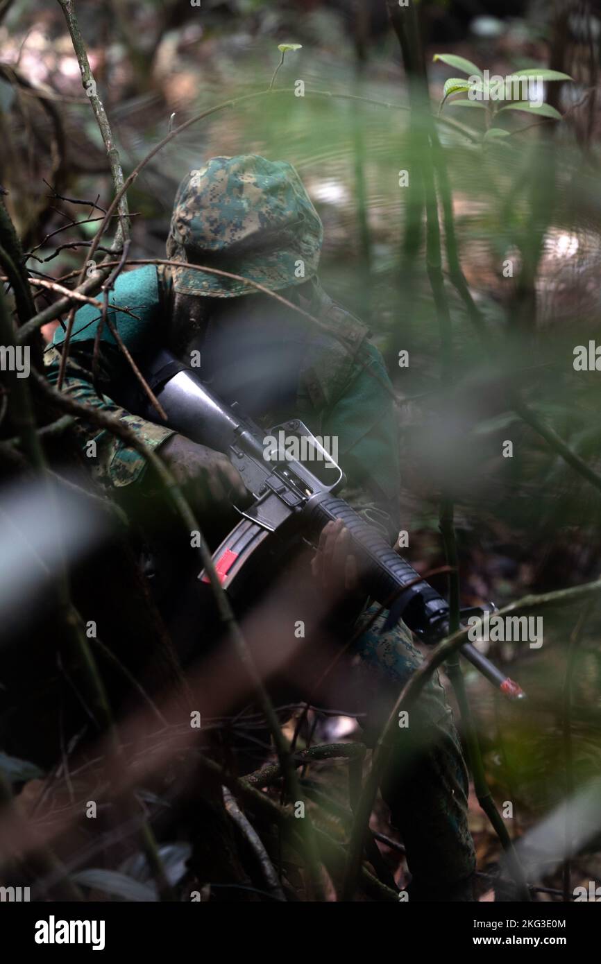 A Royal Brunei Land Force (RBLF) soldier with 2nd Battalion, RBLF ...