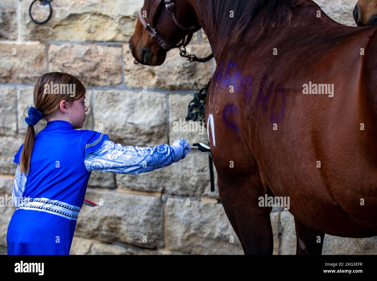 The commanding generals mounted color guard hi-res stock photography ...