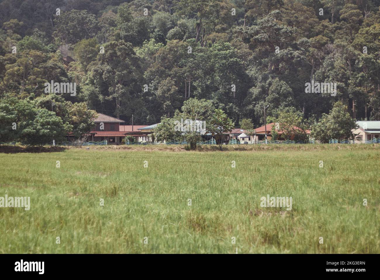 A beautiful shot of a green field with a background of buildings and ...