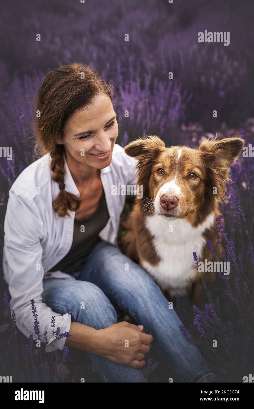 female Australian Shepherd Stock Photo - Alamy