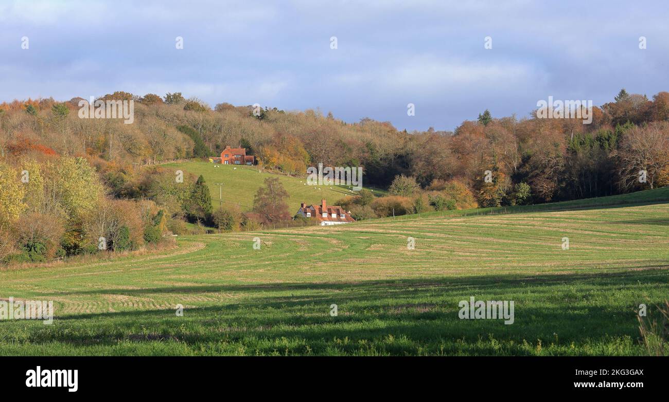 An English Rural Landscape in the Chiltern Hills in South Oxfordshire ...