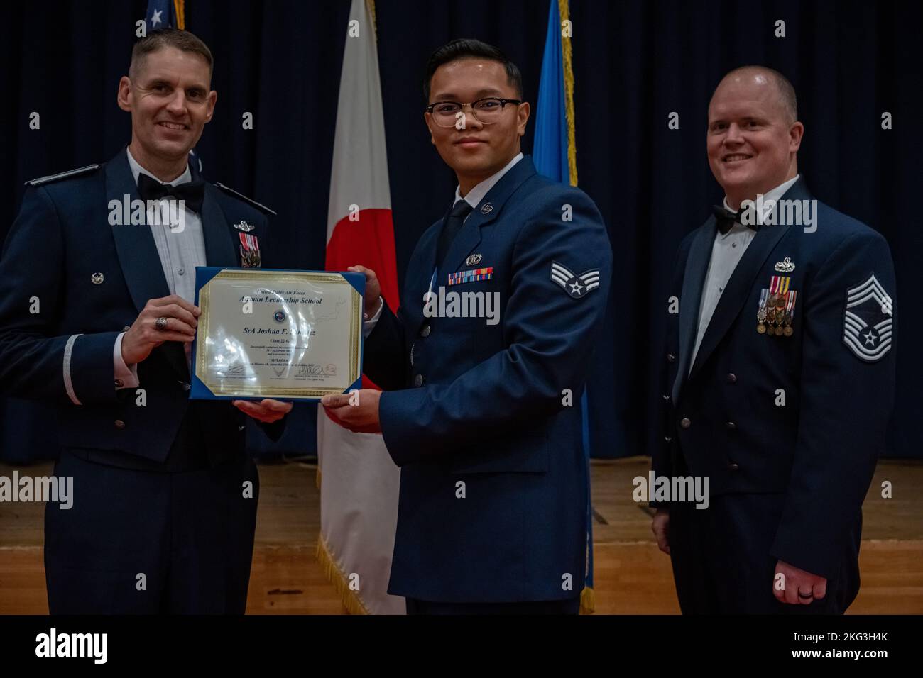 Profession Of Arms Air Force