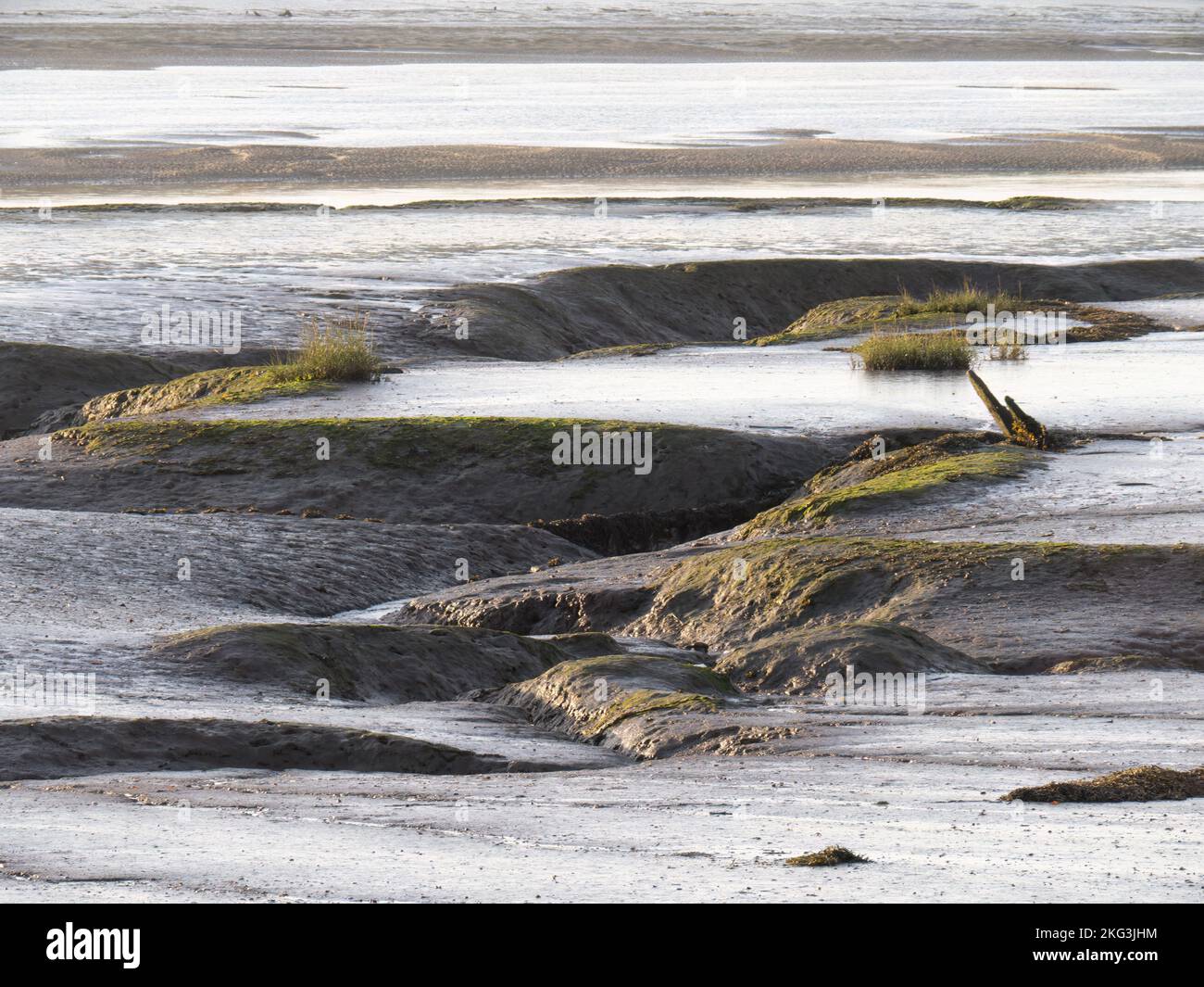 Mud on tidal mudflats, low tide in Devon, England Stock Photo - Alamy