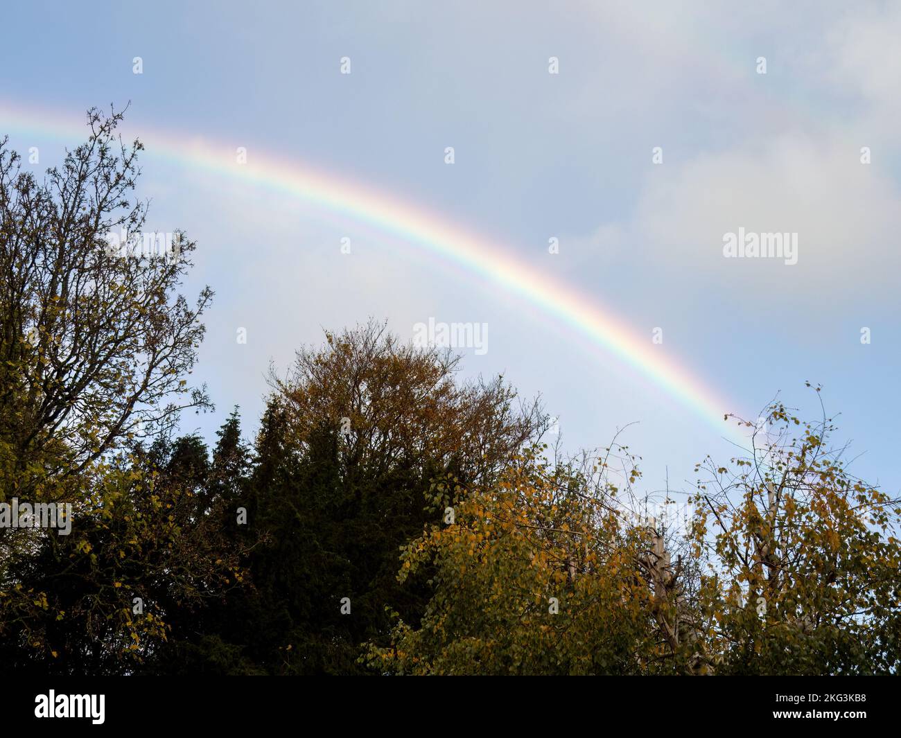 Autumn rainbow over hedge, UK Stock Photo - Alamy