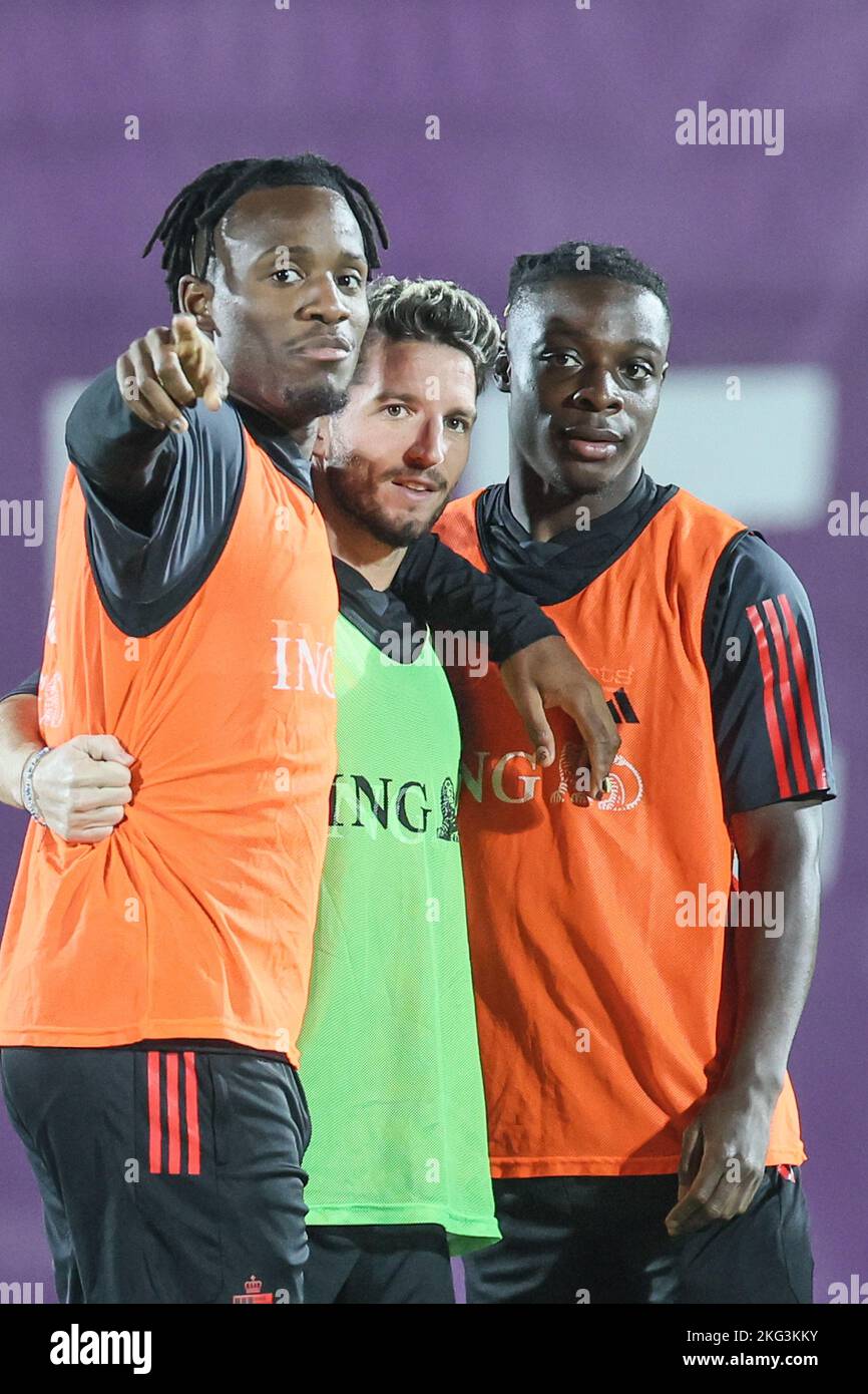 Belgium's Michy Batshuayi, Belgium's Dries Mertens and Belgium's Jeremy ...